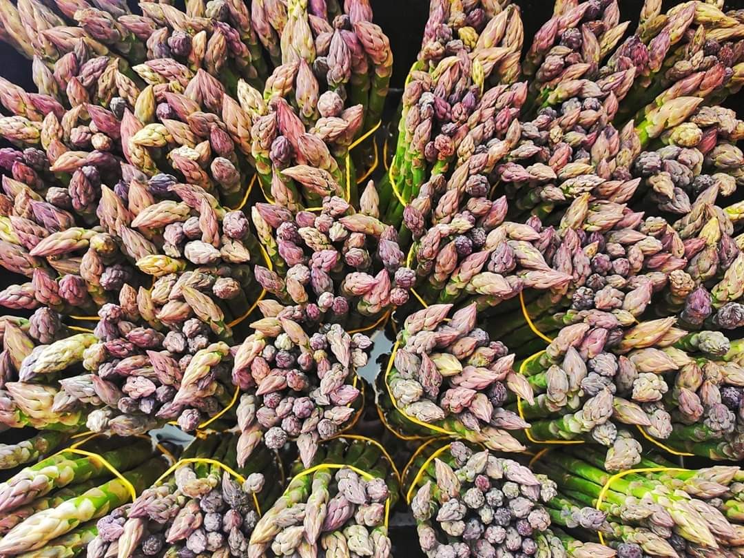 Sašina kuhinja | Šparoge OPG Bagarić Vinkovci | Sašina kuhinja