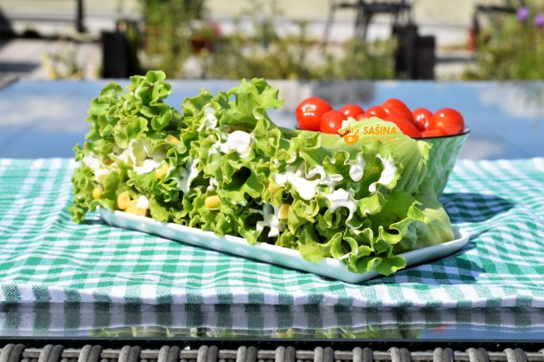 Sašina kuhinja | VIDEO - Mexican Creme Salad Meksička Krem Salata ...